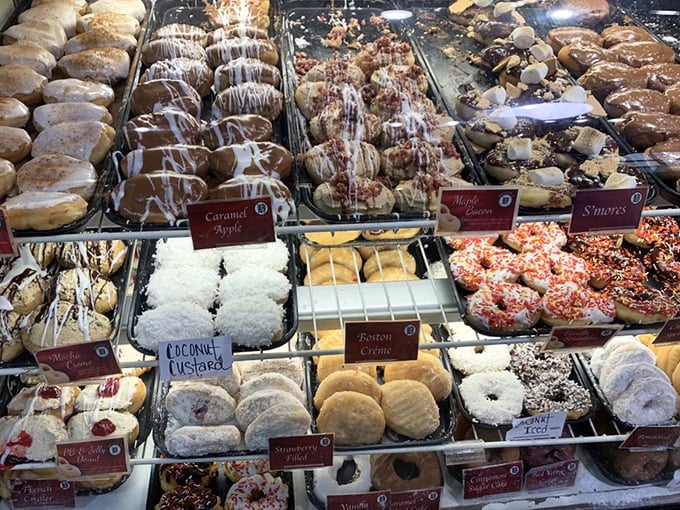 The United Nations of doughnuts&mdash;every flavor diplomatically arranged to ensure world peace through sugar and dough.