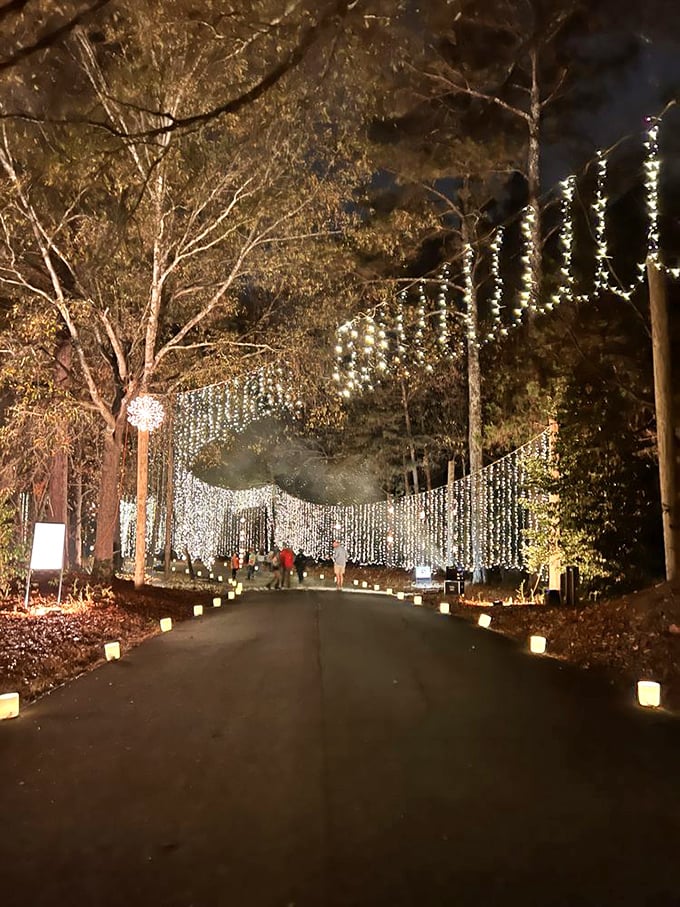 Strings of lights create a magical corridor through the trees. It's like walking through the dreams of someone who fell asleep watching both "Fantasia" and "Close Encounters."