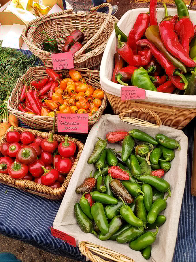 Nature's jewelry box! These peppers display more vibrant colors than my grandmother's collection of statement brooches from the 1960s.
