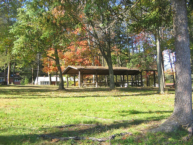 Nature's dining room awaits under a canopy of autumn colors. This picnic shelter has hosted everything from family reunions to first dates with equal rustic charm.