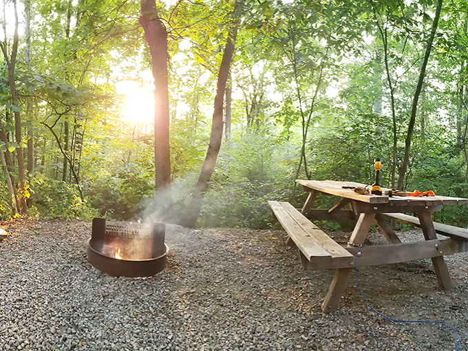 Morning mist rises from a campfire as sunlight filters through the trees. Some people meditate; others just need this picnic table and view.
