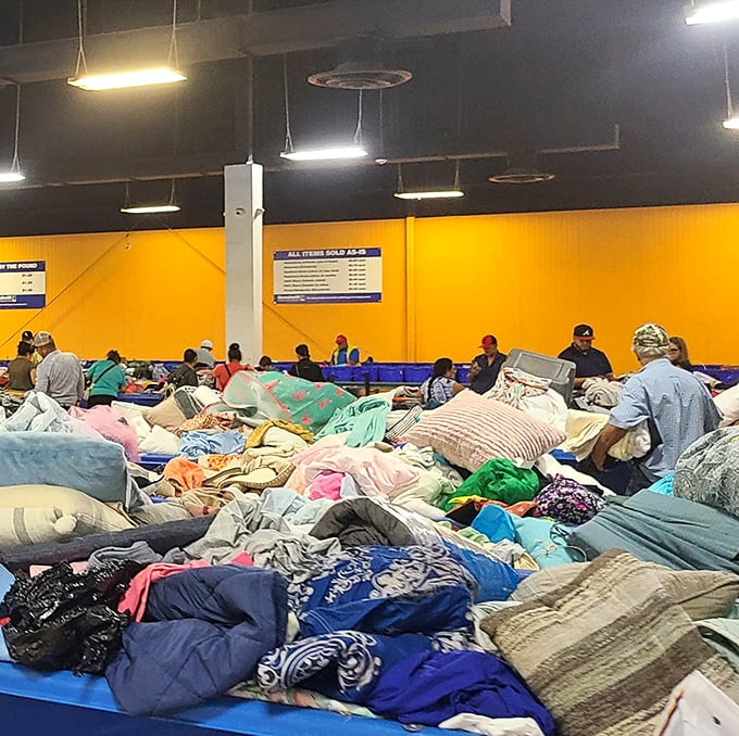 Like an archaeological dig where the artifacts are last season's throw pillows. Somewhere in there is the perfect accent piece.