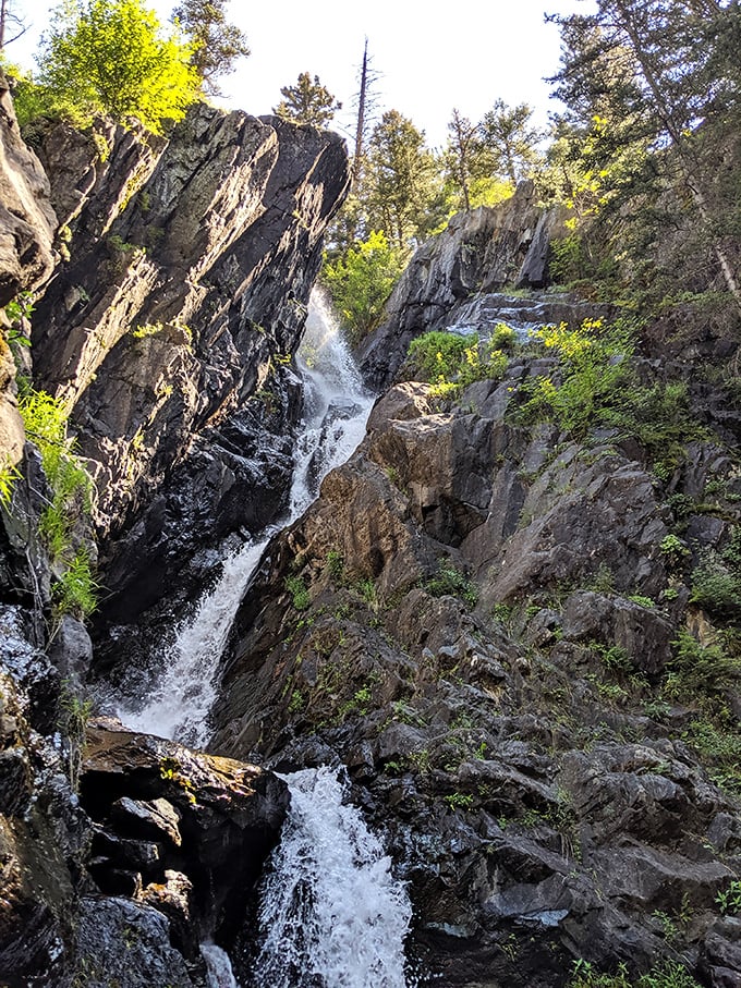 Pine Creek Falls doesn't just flow&mdash;it performs. Nature's version of a shower massage that no bathroom renovation could ever match.