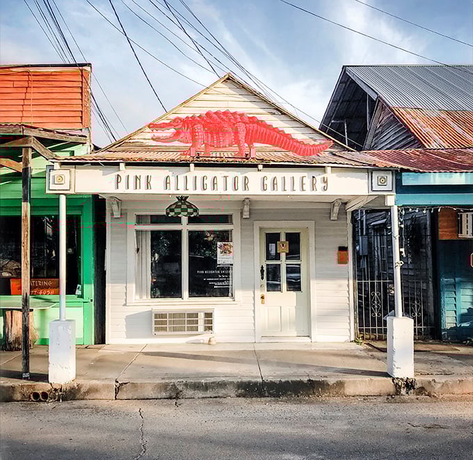 The Pink Alligator Gallery proves that even reptiles get a splash of color in this vibrant arts community.