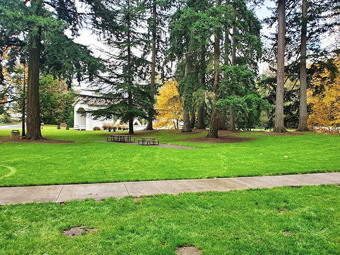 Pioneer Park's expansive lawns offer more green space than a billionaire's bank account, but with better public access.