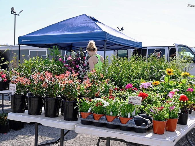 Garden dreams bloom at every turn. Nothing says "optimism" quite like buying plants at a flea market on a sunny day.