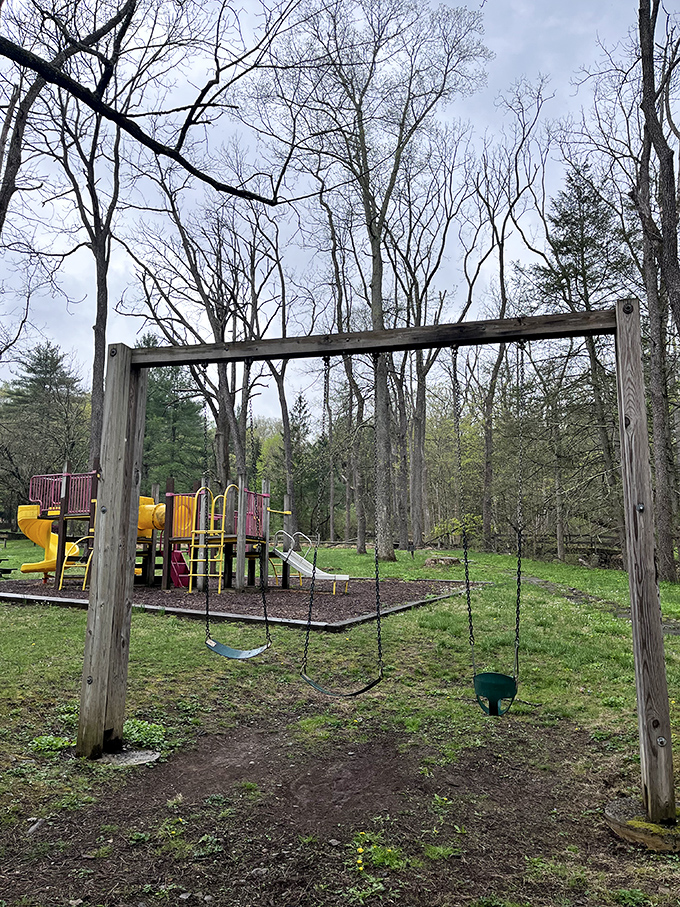 The playground where kids burn energy while parents secretly wish they could join in. Those swings are calling your name.