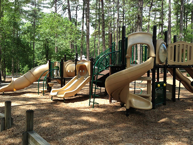 A playground where kids can slide into adventure while parents slide into a moment of peaceful sitting.
