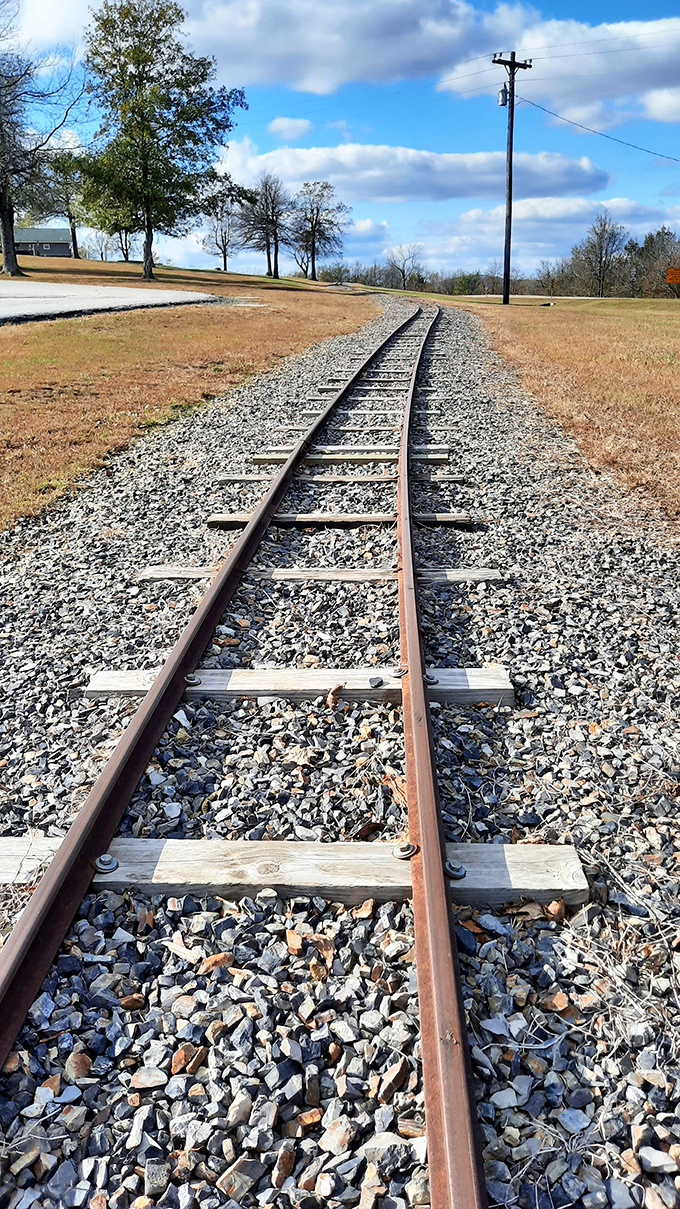 Tracks to somewhere wonderful. A reminder that sometimes the journey itself is the destination worth savoring.
