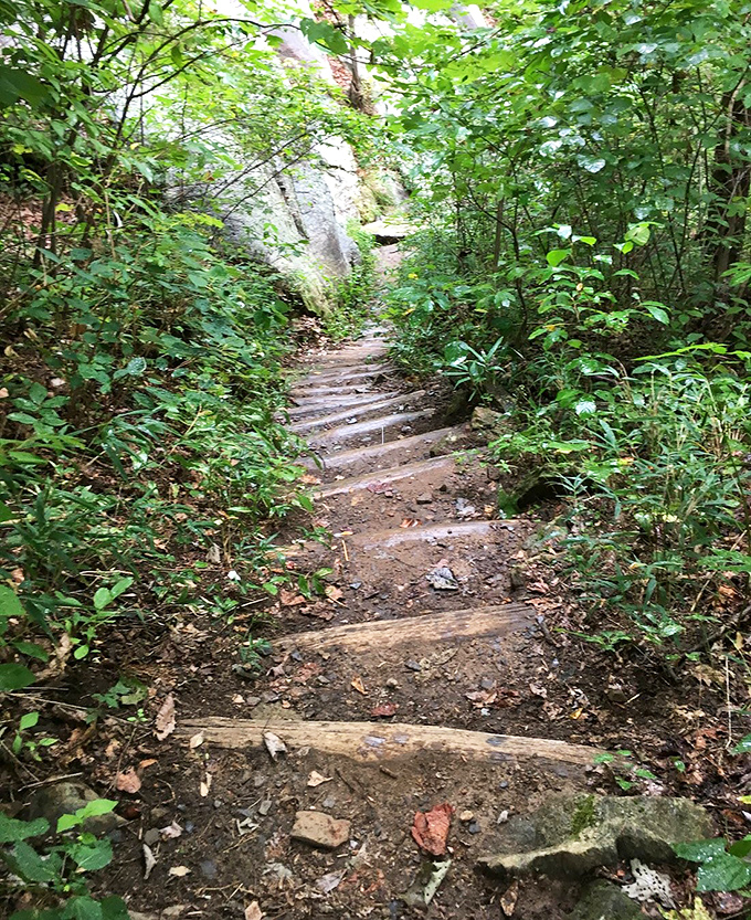 These wooden steps are nature's StairMaster &ndash; but with views that make you forget you're actually exercising.