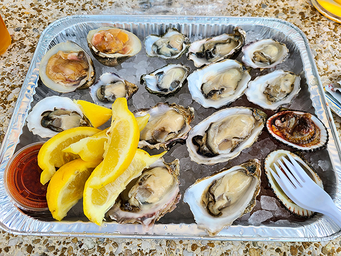 A dozen reasons to believe in love at first slurp &ndash; these oysters are ready for their starring role.