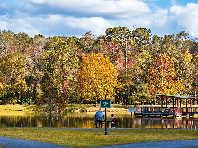 Fall foliage reflected in still waters creates nature's perfect mirror image. This peaceful spot proves Louisiana knows how to do autumn right.