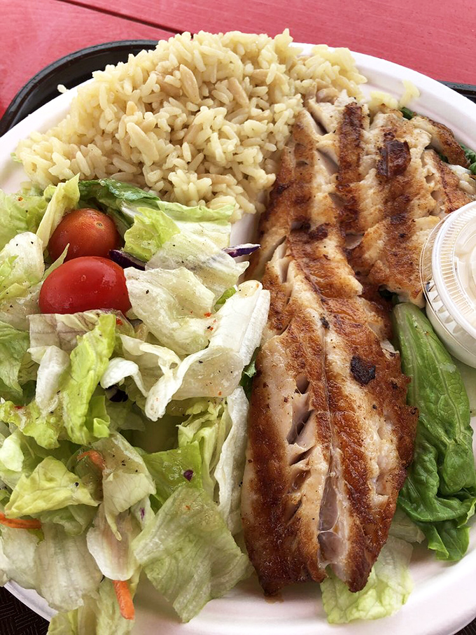 When the ocean provides the main course, rice pilaf and fresh salad make perfect supporting actors. This grilled fish plate deserves its own SAG card.