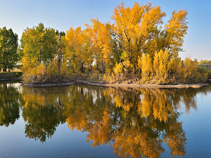 Fall foliage reflects perfectly in Rexburg's Nature Park, where seasonal beauty comes standard with no premium pricing.