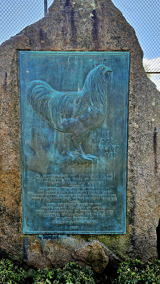 The Rhode Island Red monument celebrates the state's feathered celebrity. Who knew a chicken could achieve such legendary status outside of a sandwich?