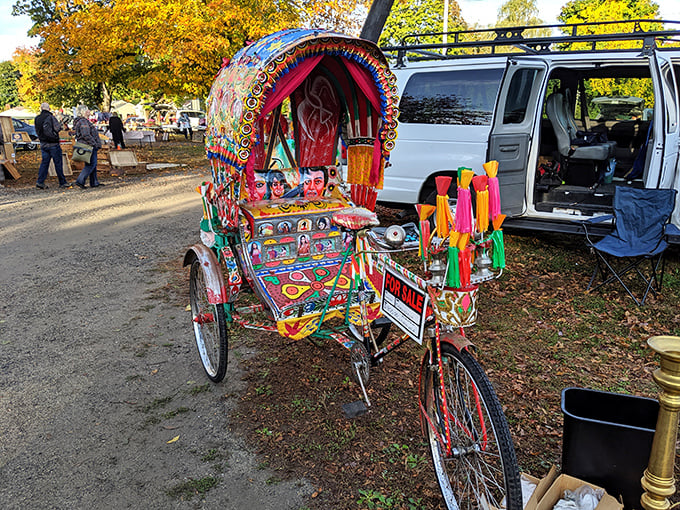 Not just transportation but mobile art—this elaborately decorated rickshaw proves that at Todd Farm, even the unusual finds its audience.