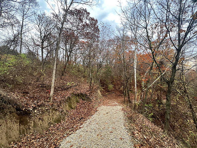 River Bluff Trails offers peaceful woodland paths for nature lovers. The perfect place to contemplate life's big questions, like why you waited so long to discover St. Joseph.
