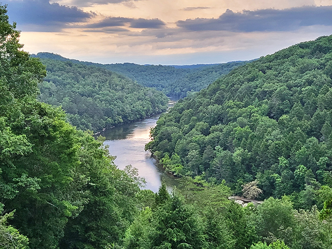 The Cumberland River Valley stretches out like nature's own cathedral, where trees stand as pillars and the river runs like a blue carpet.