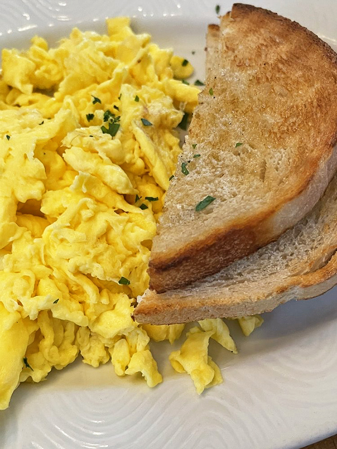 Scrambled eggs so fluffy and bright they look like edible sunshine, paired with toast that's achieved that mythical perfect golden-brown.