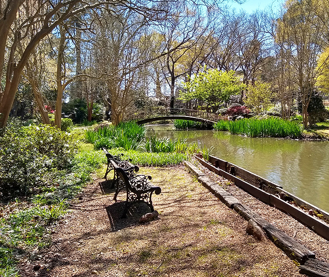 A perfect bench placement that proves garden designers understand the art of the strategic rest stop. Nature appreciation requires comfortable contemplation!