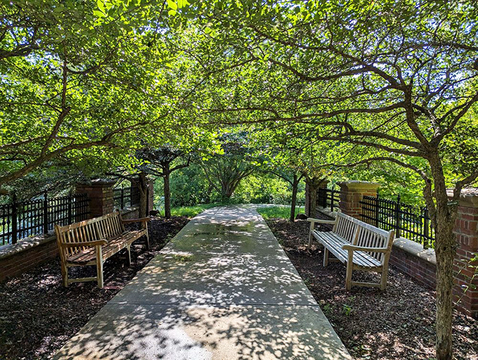 Tree-lined paths offer shade and contemplation, plus benches positioned by someone who clearly understands tired feet.