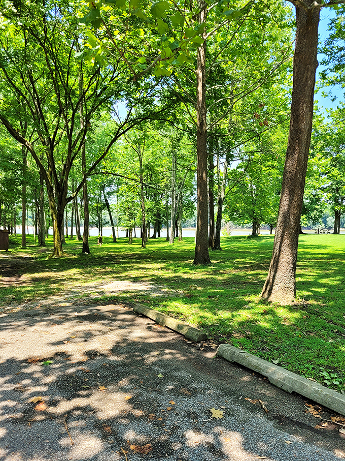 Dappled sunlight creates nature's spotlight on this serene pathway, perfect for contemplative strolls or impromptu squirrel chasing.