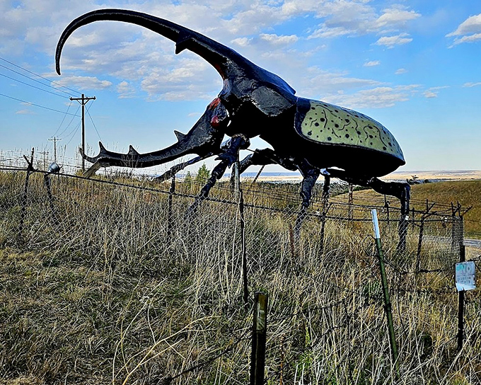 Against the Colorado blue sky, Herkimer's silhouette makes you wonder if Kafka had visited the Centennial State before writing "Metamorphosis."