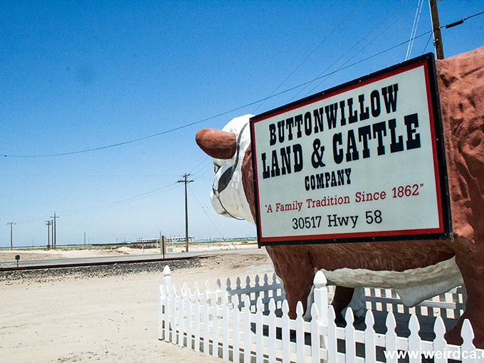 The white picket fence seems charmingly inadequate, as if it could possibly contain this massive monument to cattle country.