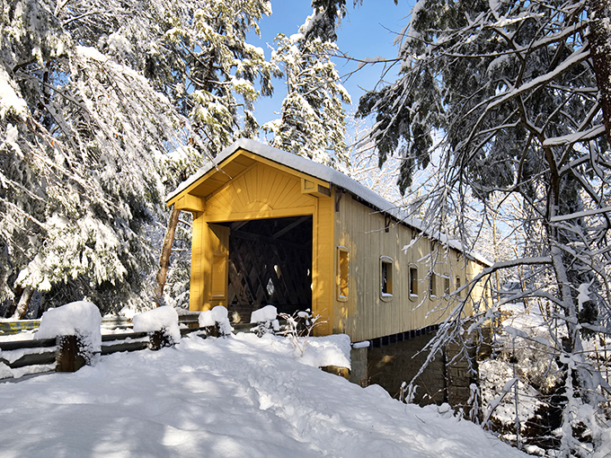 Snow makes everything look like it's trying out for a Thomas Kinkade painting, and honestly, it's nailing the audition.