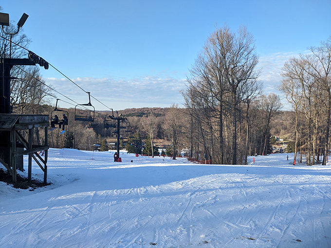 Snow Trails keeps winter interesting when you've run out of excuses to stay inside watching television.