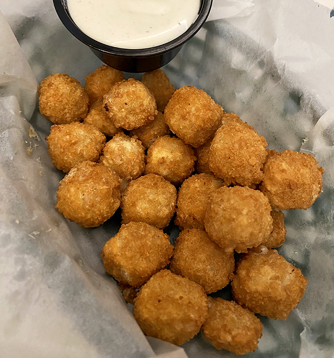 These golden cheese bites aren't just appetizers – they're little spheres of joy that disappear faster than intentions to share.