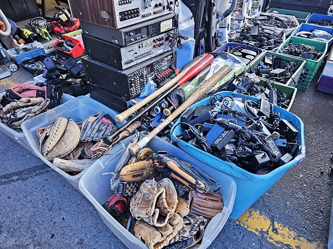 Baseball gloves and power tools share space in these bins of possibility&mdash;like a garage sale curated by your most interesting uncle.