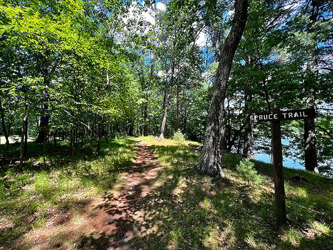 The Spruce Trail sign doesn't just mark a path &ndash; it offers an invitation to discover what's around the next bend.
