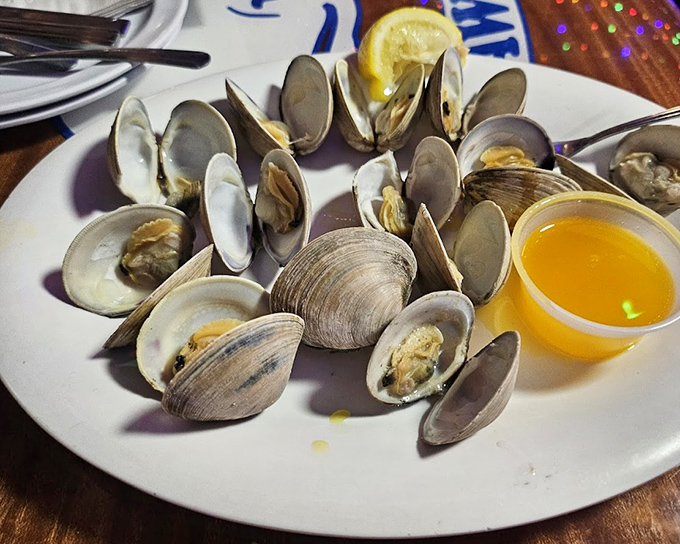 Steamed clams open up like gossips at a hair salon, revealing their secrets in a broth worth sopping up with every available piece of bread.
