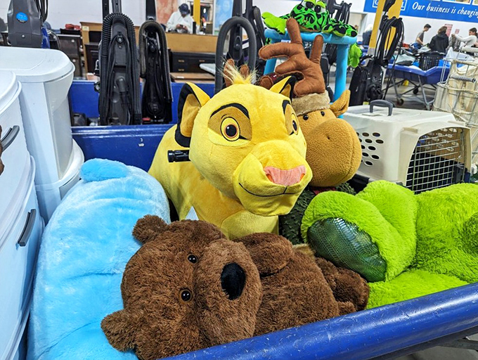 The island of misfit toys finds redemption here. That Lion King plush might have been someone's childhood best friend before becoming your grandchild's treasure. 