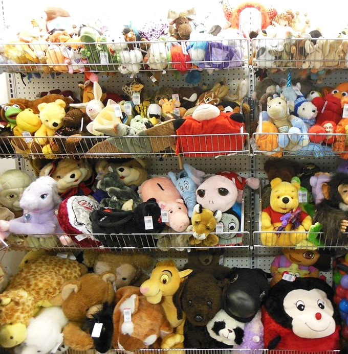 Stuffed animal nirvana—where forgotten teddy bears and plush pals wait patiently for their second chance at being someone's best friend.