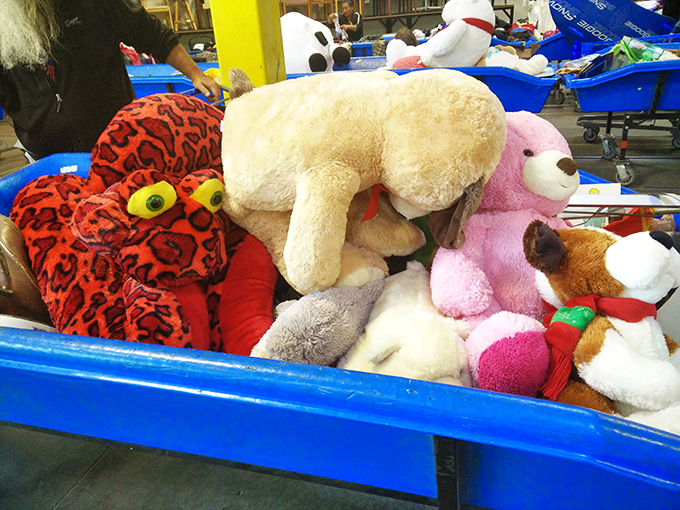 The island of misfit toys, except these cuddly creatures are far from misfit. They're just waiting for their forever homes and sticky-fingered hugs.