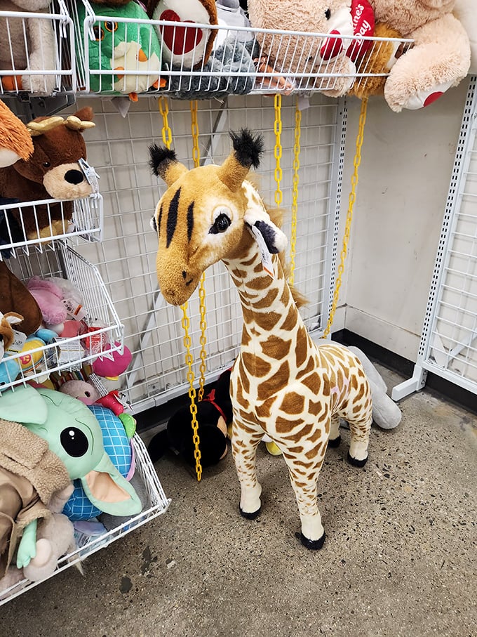 The stuffed animal section: where a gently-loved giraffe waits patiently for its second chance at being a child's best friend and confidant.