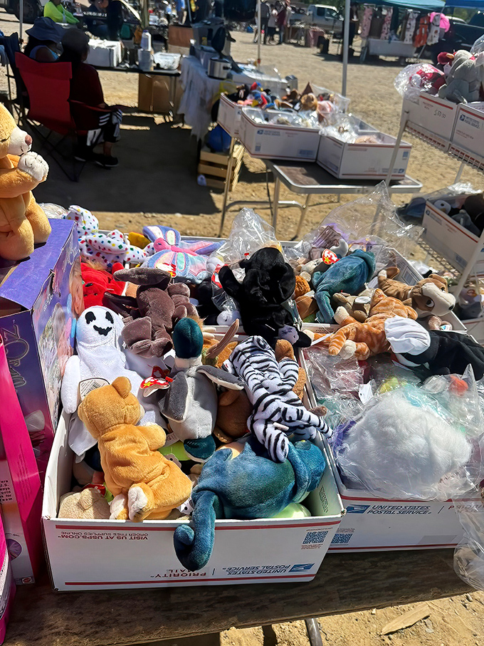 Plush companions patiently wait for new homes. That zebra's seen things, but he's not talking&mdash;at least not until bedtime stories.