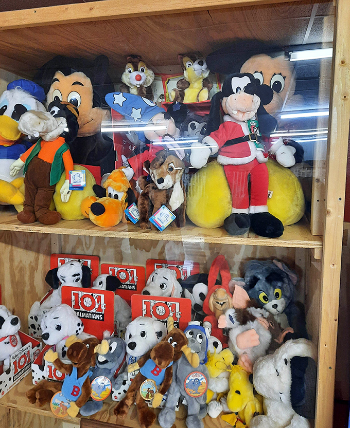 Childhood nostalgia by the shelf-full! These vintage plush pals have been waiting patiently for decades to star in someone's "remember when" stories.