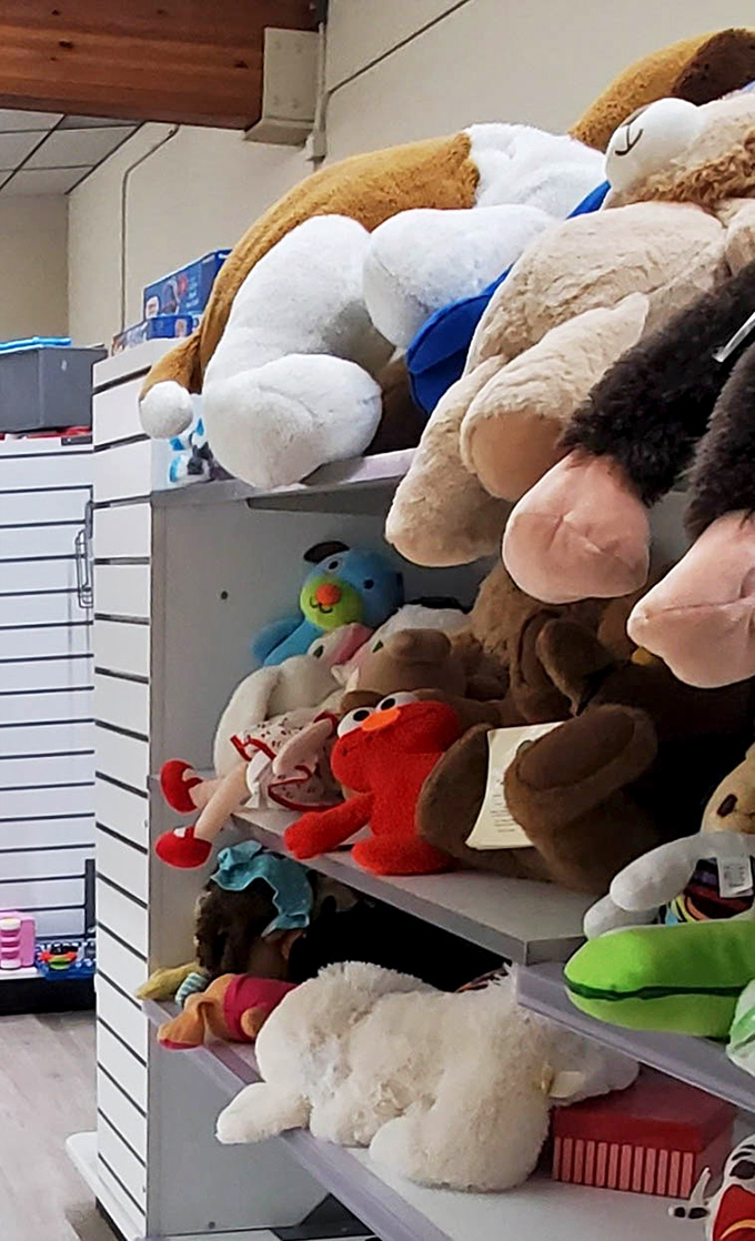 An army of cuddly companions stands at attention, ready for deployment to new homes where they'll provide comfort, joy, and the occasional tea party invitation.