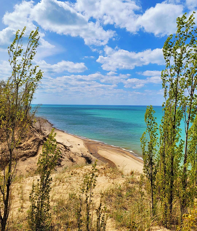 A view that makes you question your geography. "Wait, we're still in Indiana?" Yes, and that turquoise water isn't a mirage.