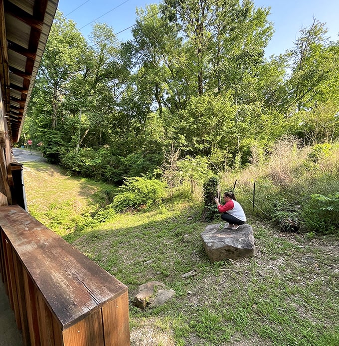 From this vantage point, photographers capture the perfect angle&mdash;proving some of life's best frames aren't digital but made of centuries-old timber.