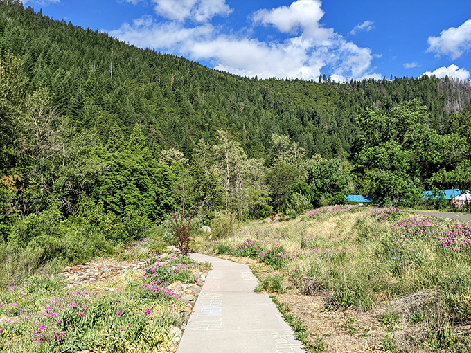 Tauhindauli Park's gentle walking path invites visitors to stroll through wildflowers while contemplating absolutely nothing urgent whatsoever.