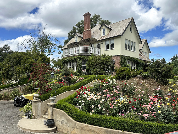 Modern comfort meets Gold Country charm at this boutique hotel where every balcony offers a front-row seat to Sonora's relaxed pace.
