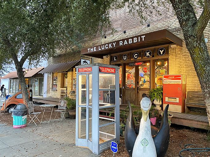 The Lucky Rabbit adds quirky charm to downtown with vintage vibes that Instagram could never adequately capture or replicate.