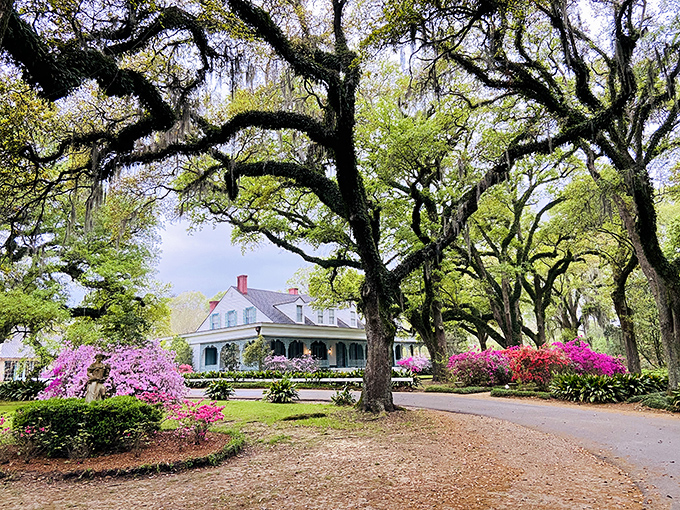 The Myrtles' magnificent oak-framed facade hides tales both beautiful and haunting. America's "most haunted home" is also one of its most photogenic.