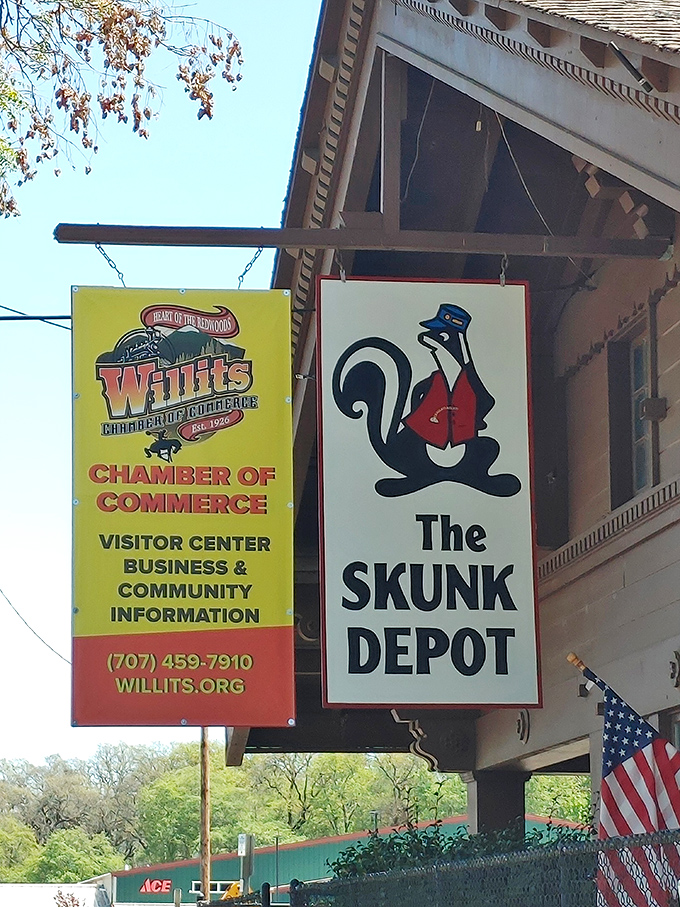 The whimsical skunk mascot greets visitors in downtown Willits, a charming reminder of the train's nickname and the town's railroad heritage.