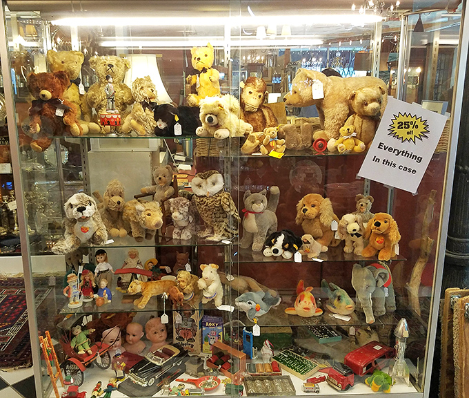 The glass case of childhood memories where teddy bears hold court over toy cars, proving nostalgia is the most powerful collector of all.