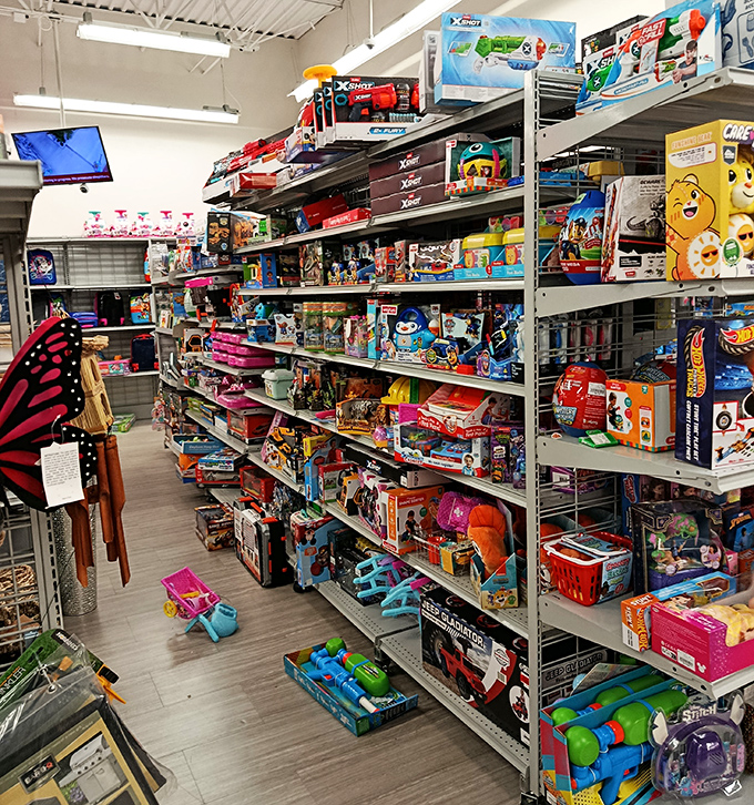 Toy store shelves packed tighter than a Christmas stocking. Warning: you'll leave with more than you planned for the kiddos.
